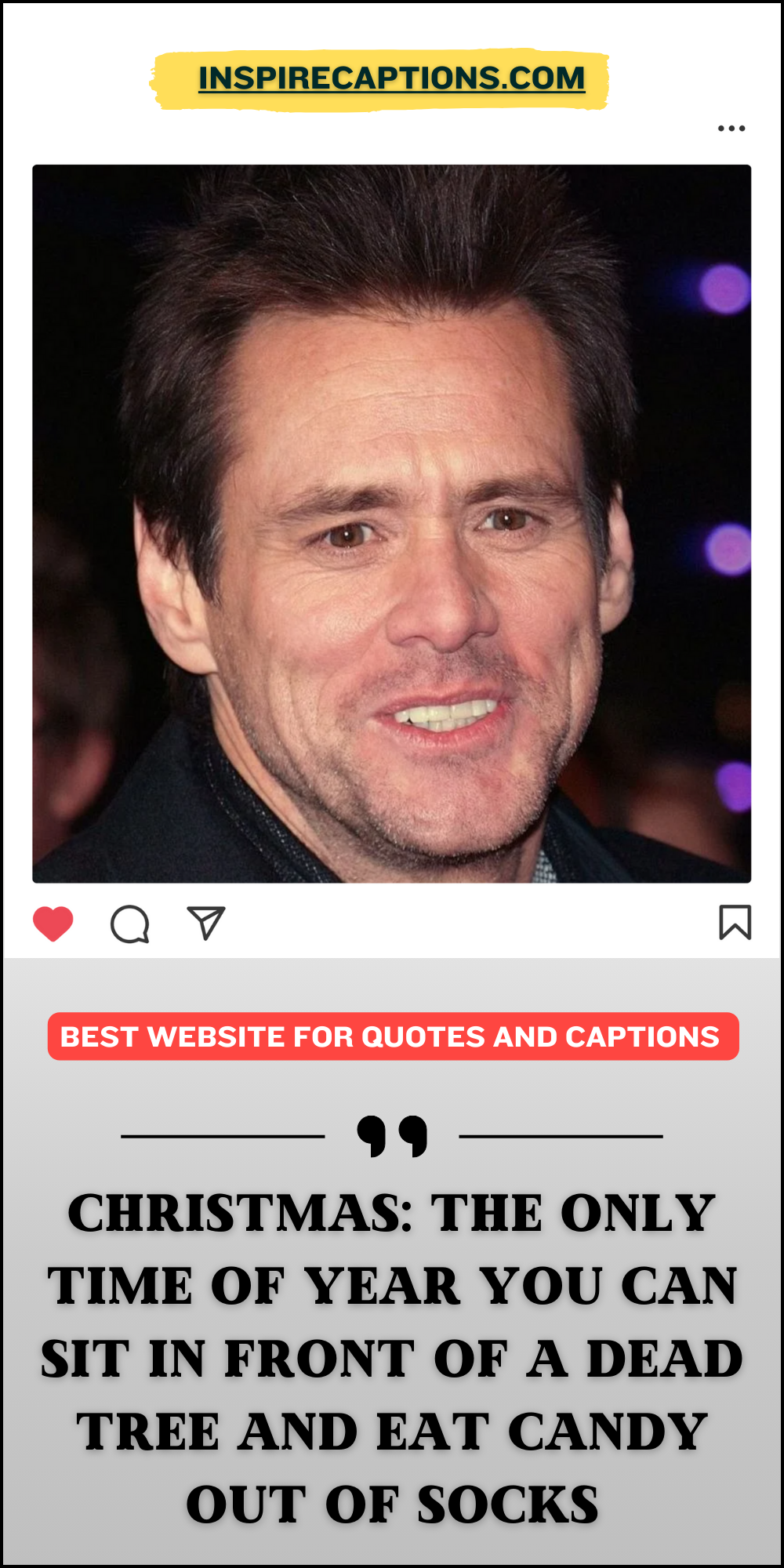 16 Funny Christmas Quotes to Add Humor and Joy to Your Holiday Cards ...